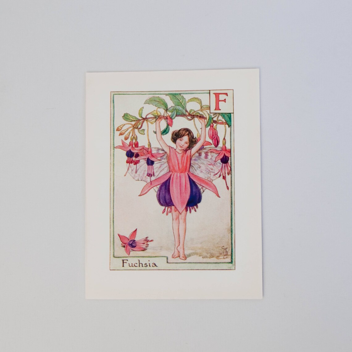 Vintage Flower Fairies Print, Letter F Fuchsia, Cicley Mary Barker ...
