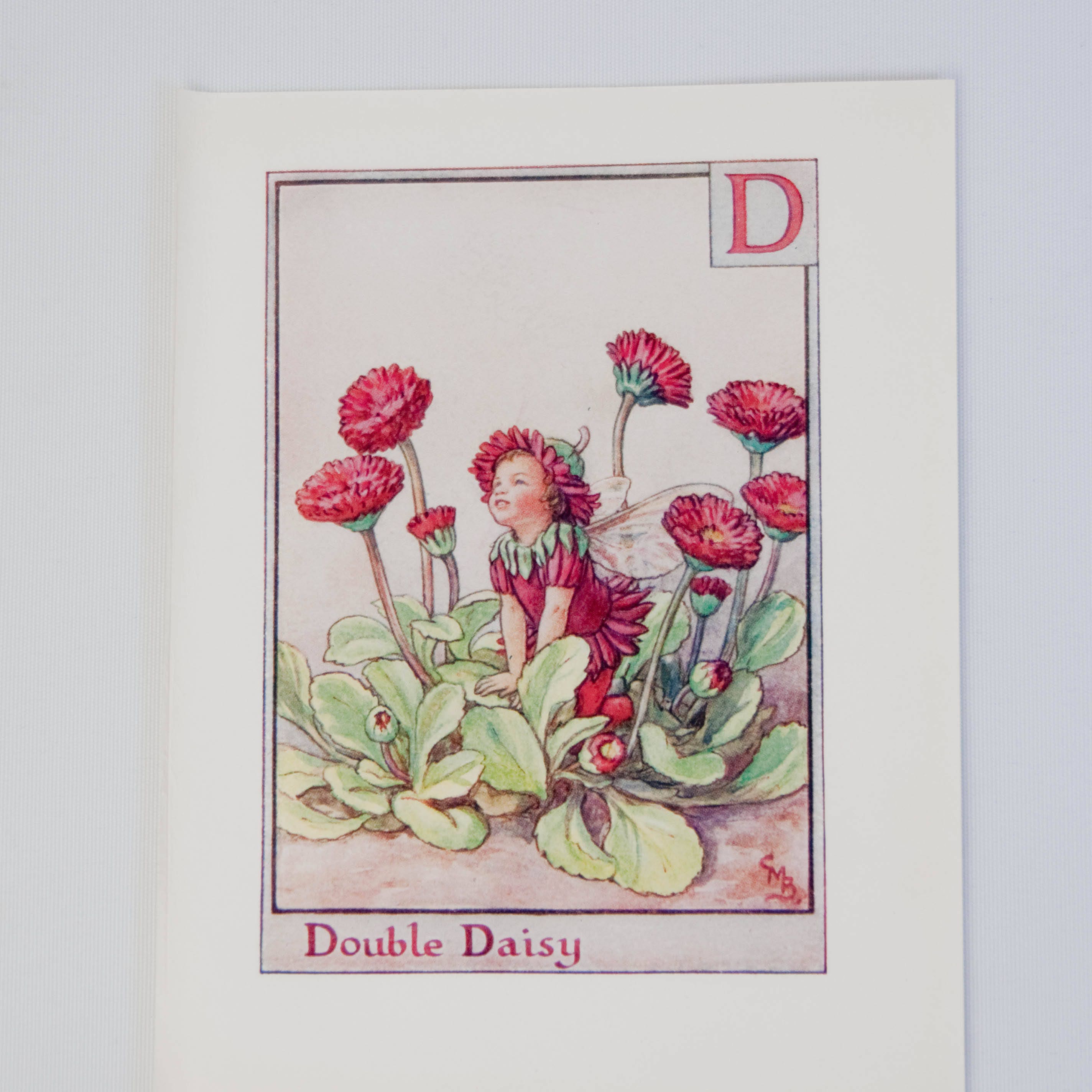 Original Flower Fairy Alphabet Letter D, Double Daisy, Cicley Mary ...