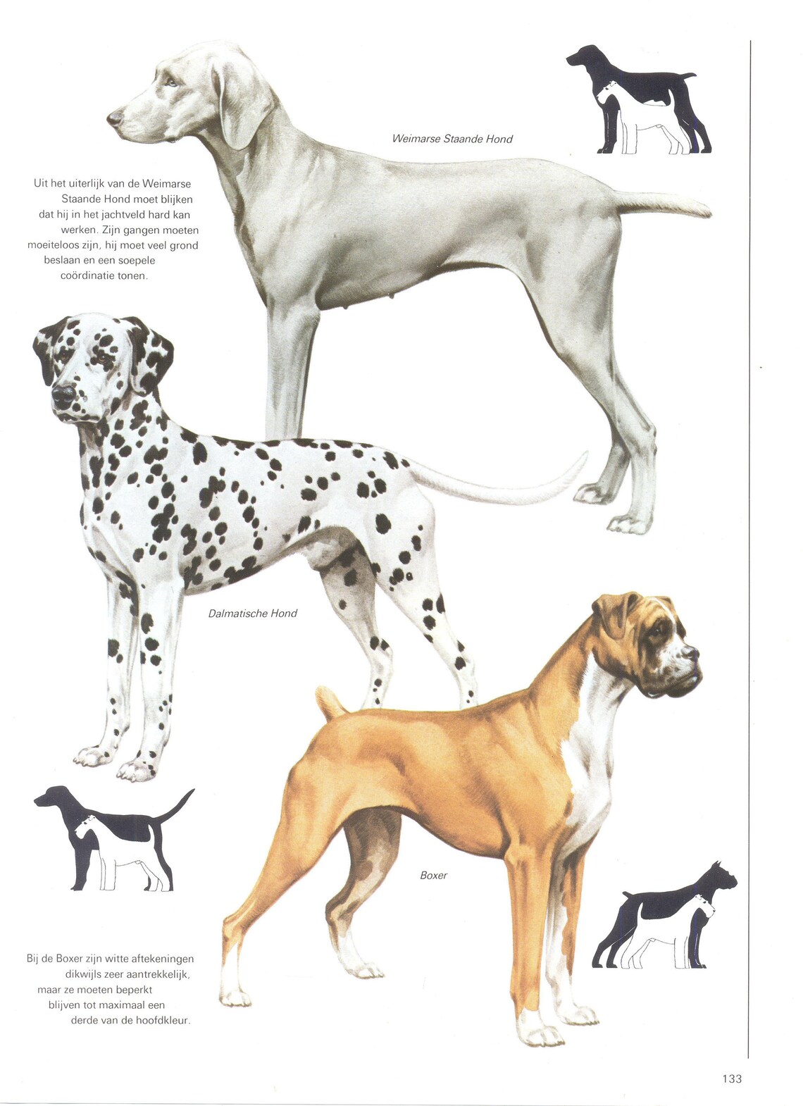 Vintage Dog Print, Weimaraner, Dalmatian, Boxer, Dog Lover Gift, Dogmom ...