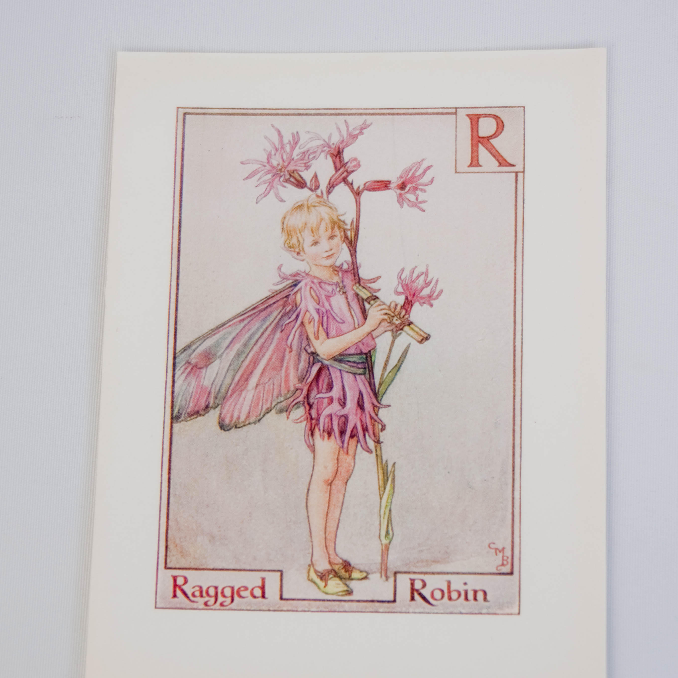 Original Flower Fairy Alphabet Letter R Ragged Robin Cicley - Etsy