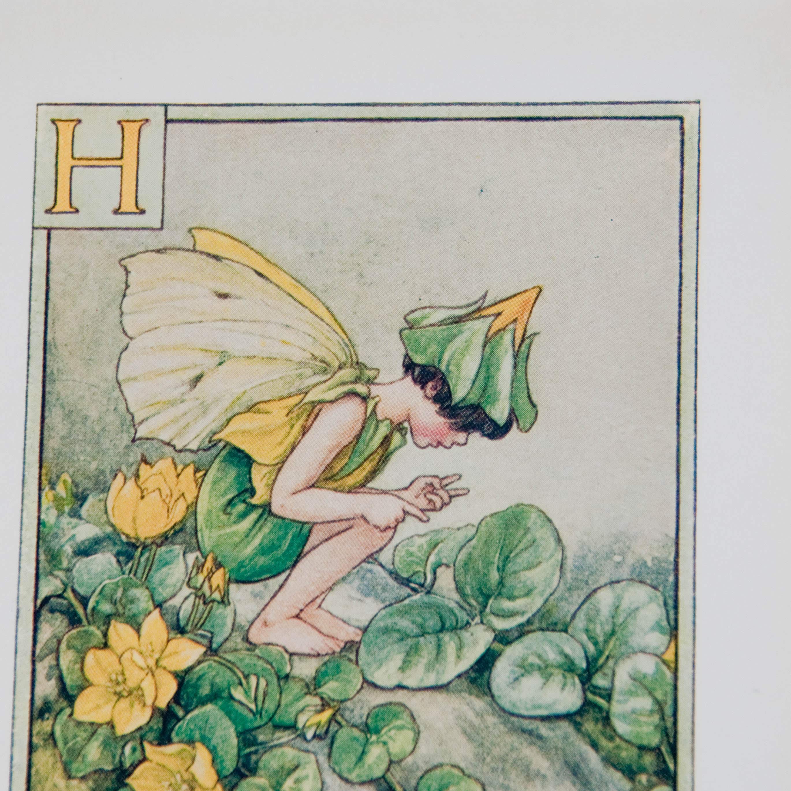 Original Flower Fairy Alphabet Letter H, Herb Twopence, Cicley Mary ...