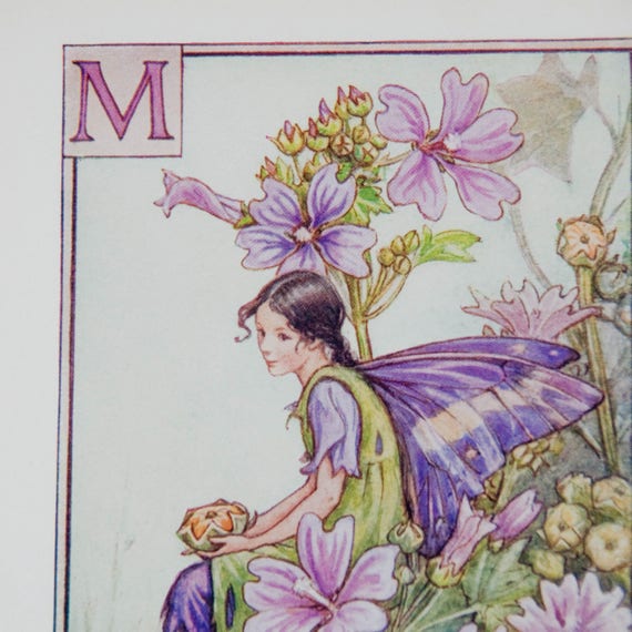 Original Flower Fairy Alphabet Letter M Mallow Cicley Mary | Etsy
