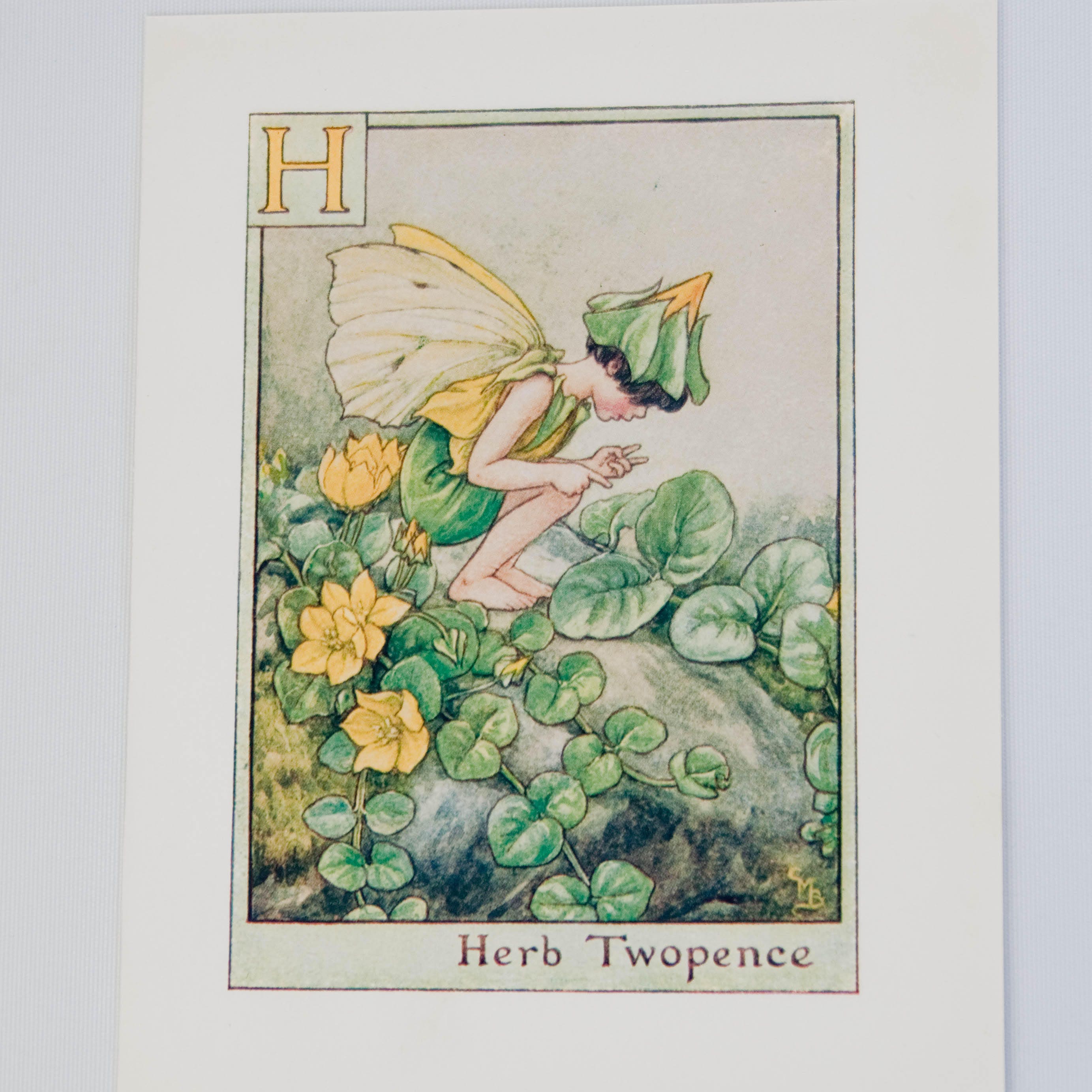 Original Flower Fairy Alphabet Letter H, Herb Twopence, Cicley Mary ...