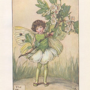 Original the May Fairy Print, Flower Fairies of the Spring, Original ...