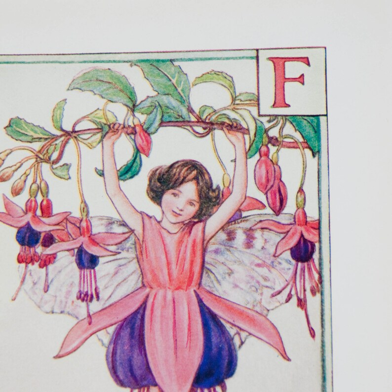 Vintage Flower Fairies Print, Letter F Fuchsia, Cicley Mary Barker ...