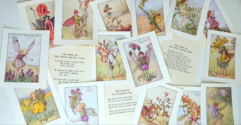 Original the Buttercup Fairy Print, Flower Fairies of the Summer ...
