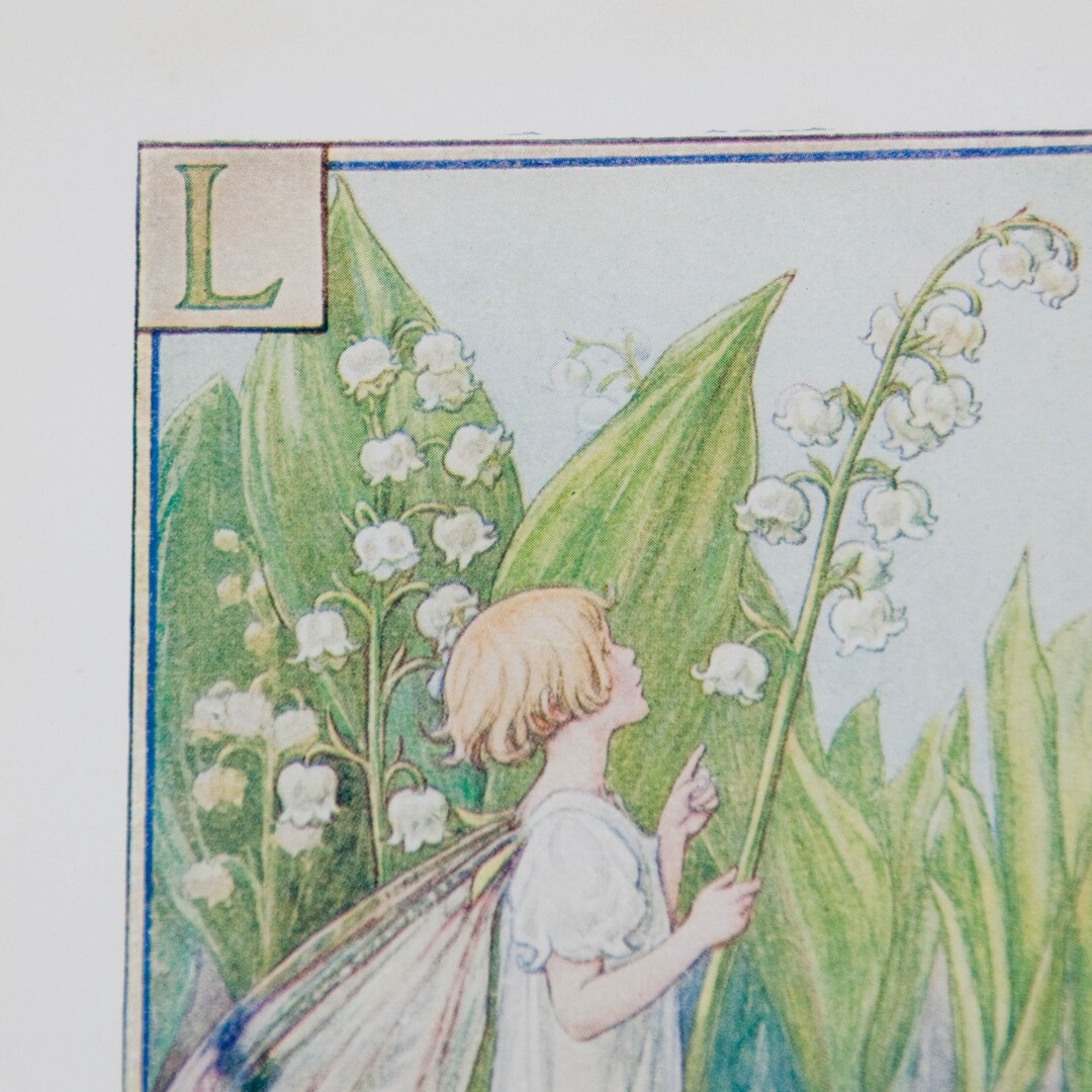 Original Flower Fairy Alphabet Letter L, Lily of the Valley, Cicley ...