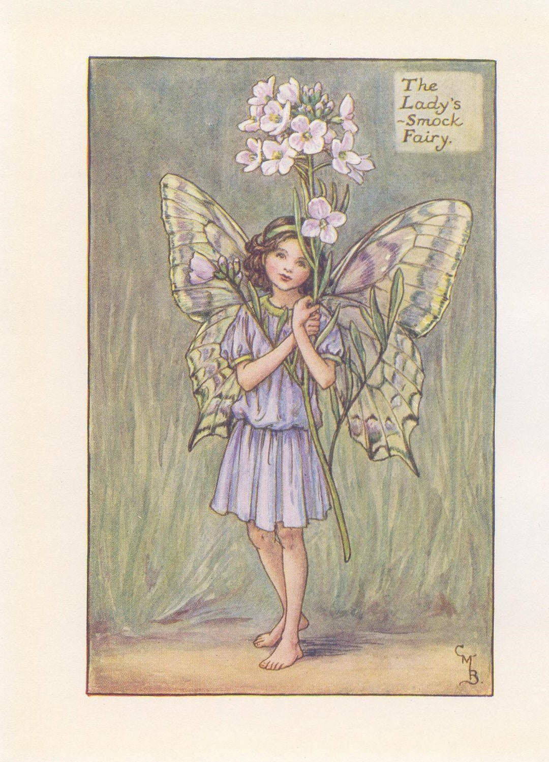 Original the Wind Flower Fairy Print, Flower Fairies of the Spring ...