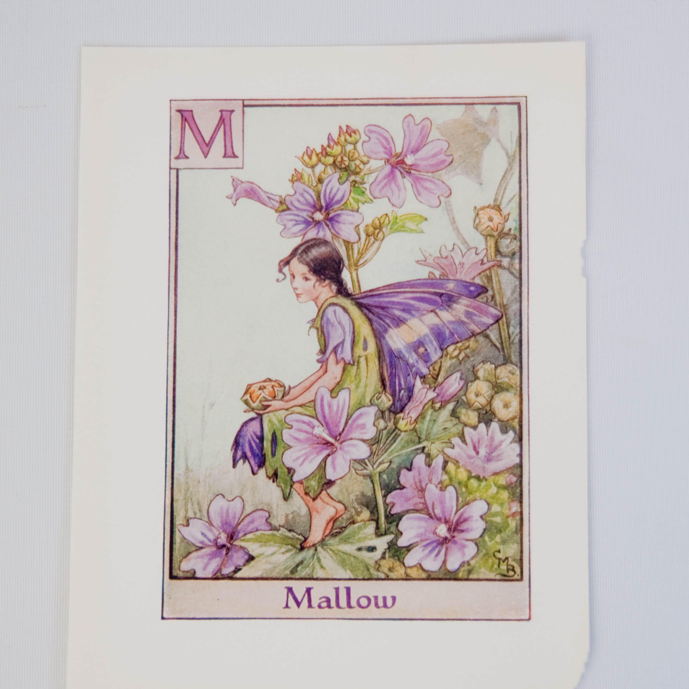 Original Flower Fairy Alphabet Letter M, Mallow, Cicley Mary Barker ...