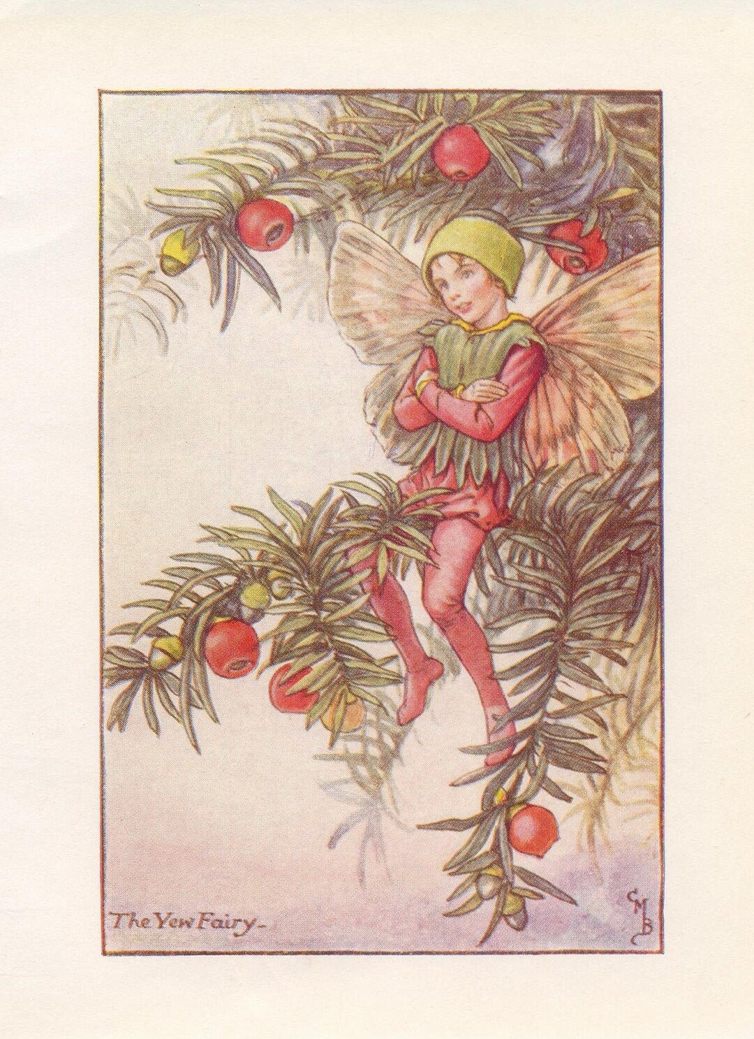 Vintage "the Yew Fairy" Print, Flower Fairies of Autumn, Cicely Mary ...