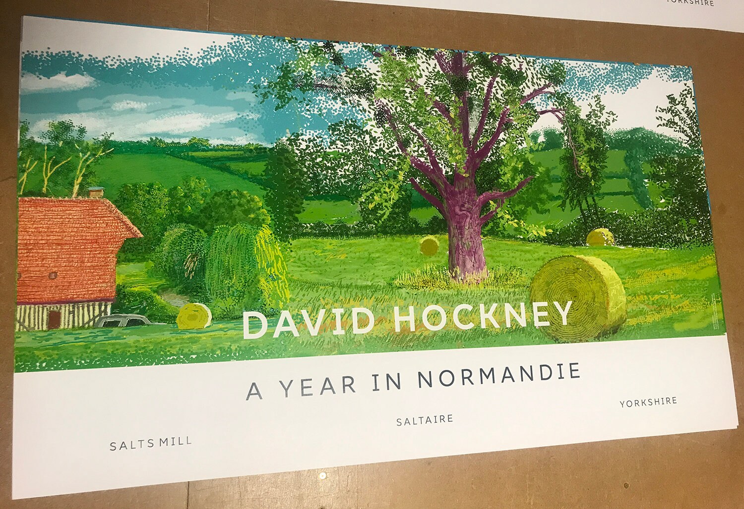 David Hockney Poster, Original Gallery Museum Poster A Year in ...