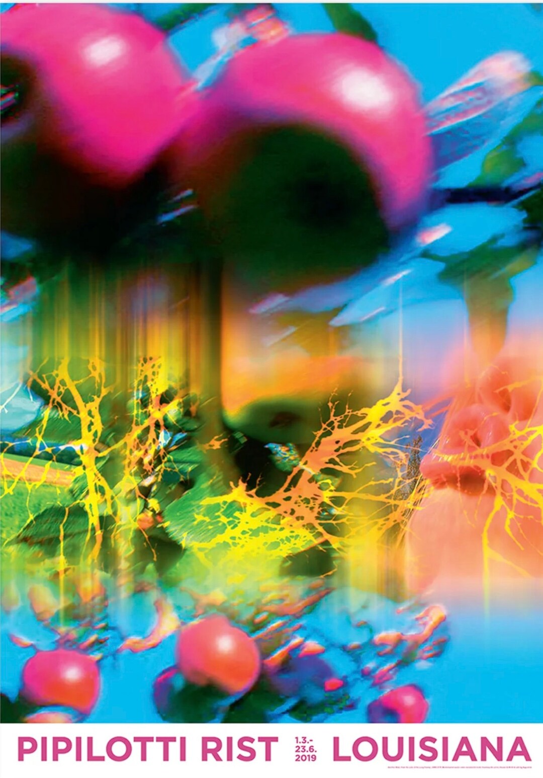 Pipilotti Rist Exhibition Poster Original Museum Gallery Wall Art Print ...