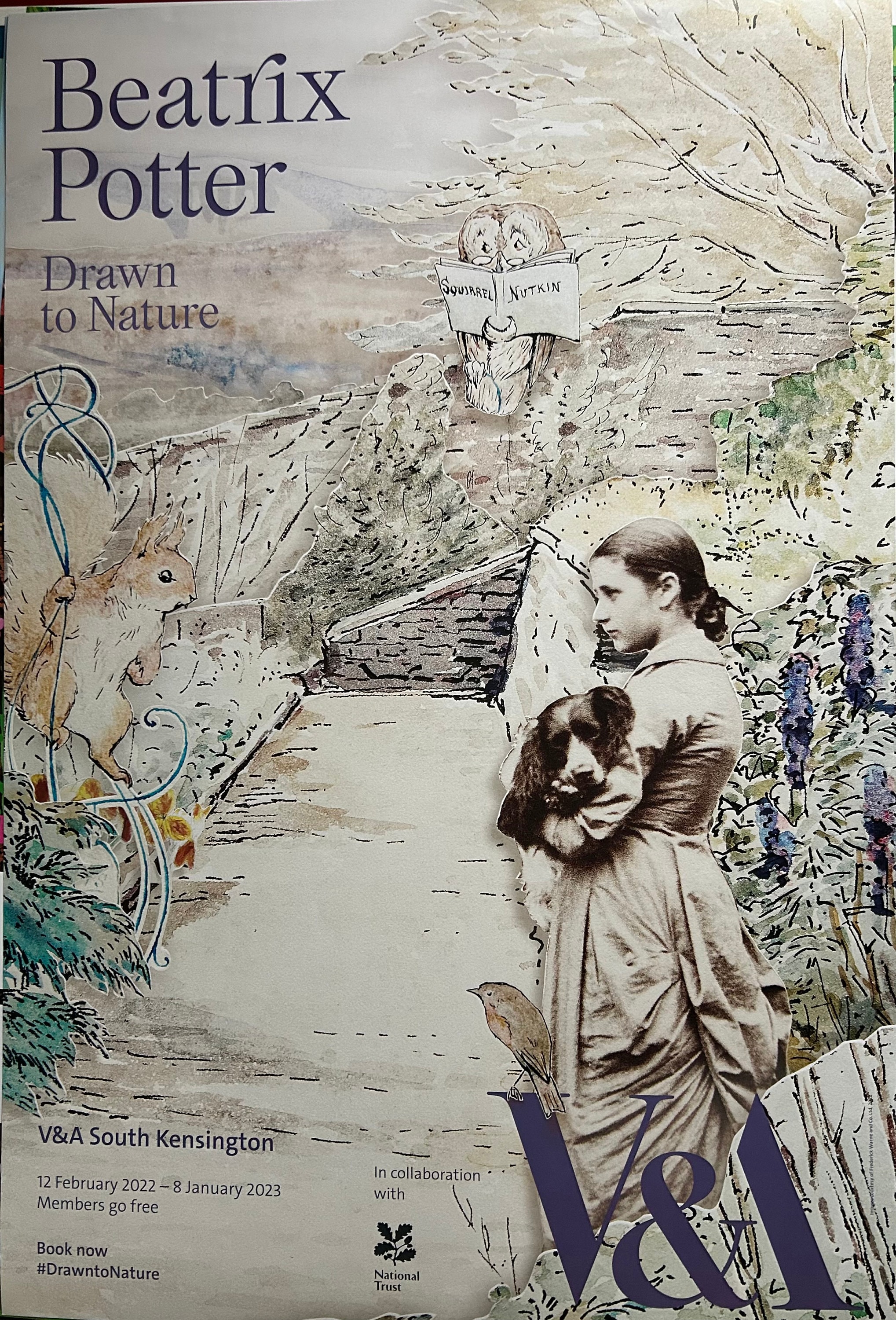 Beatrix Potter Drawn to Nature Original Authentic Museum Gallery ...