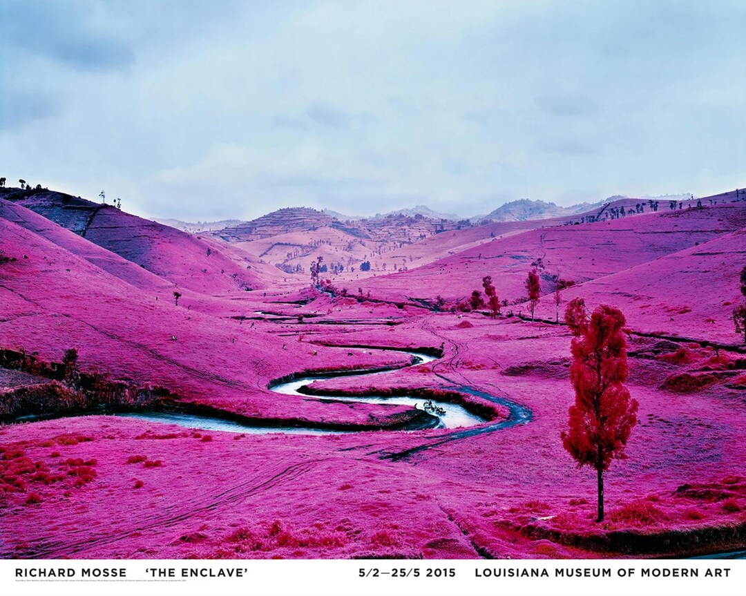 Richard Mosse the Enclave Original Gallery Exhibition Poster Large Wallart Print 80 X 100 Cm - Etsy