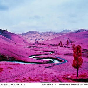 Richard Mosse the Enclave Original Gallery Exhibition Poster Large Wallart Print 80 X 100 Cm - Etsy