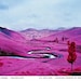 Richard Mosse the Enclave Original Gallery Exhibition Poster Large Wallart Print 80 X 100 Cm - Etsy
