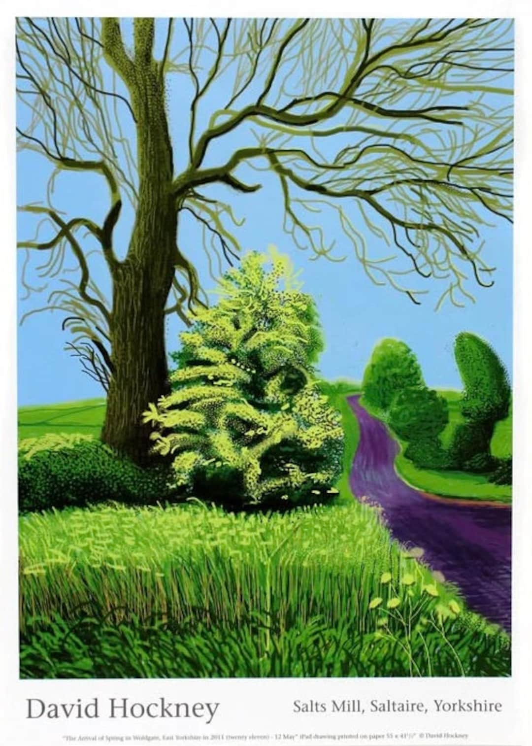 David Hockney Original Gallery Poster the Arrival of Spring 47.5x66cm ...