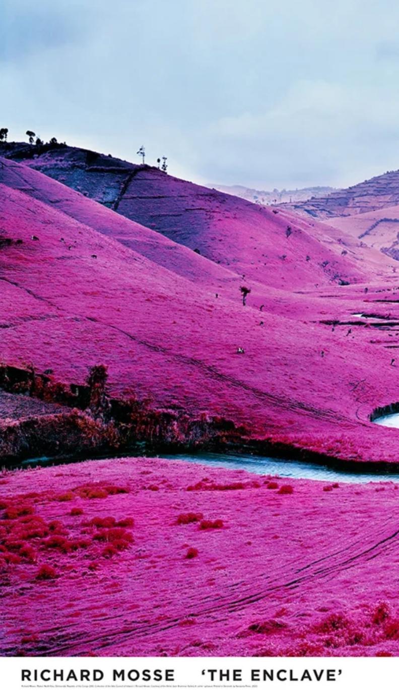 Richard Mosse the Enclave Original Gallery Exhibition Poster Large Wallart Print 80 X 100 Cm - Etsy