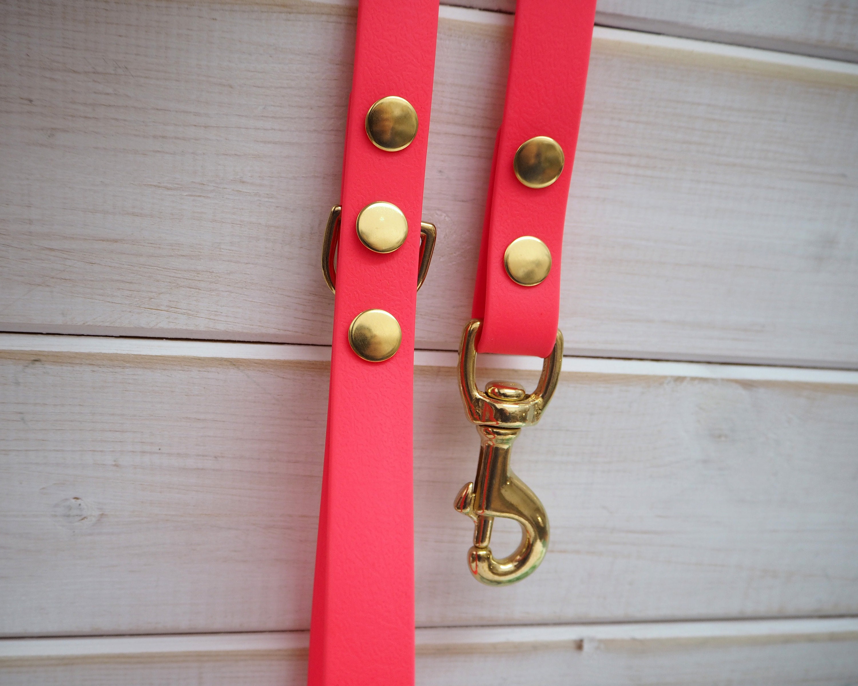 Waterproof Dog Leash, Dog Leash, Strong Dog Leash, Solid Brass Hardware ...