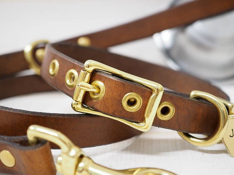 Water Resistant Collar Dog Collar Leather Dog Collar Dog | Etsy