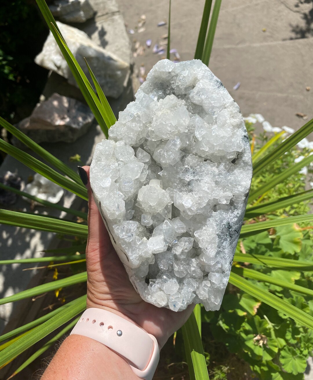 Apophyllite Crystal Cluster, Standing Apophyllite, LARGE Apophyllite ...