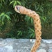 Hand Carved Rattlesnake Walking Cane Made From Eastern Red Cedar, Man ...