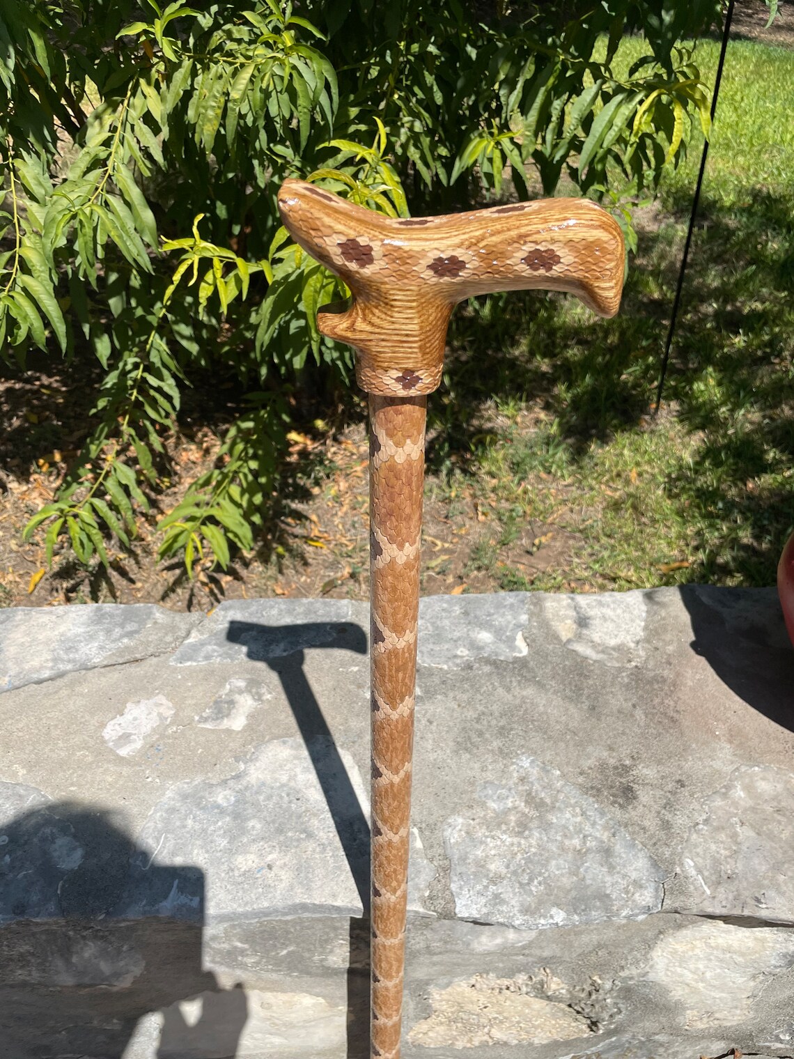 Walking Cane, Snake Skin Walking Cane, Walking Stick, Hand Carved ...