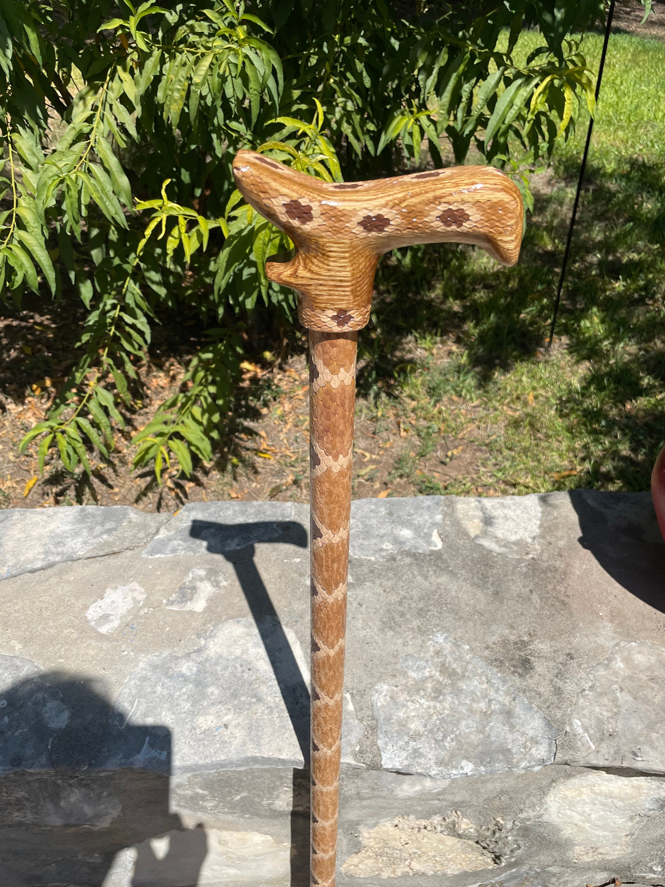 Walking Cane, Snake Skin Walking Cane, Walking Stick, Hand Carved ...