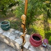 Red Diamondback Rattlesnake, Hand Carved Walking Cane. Made of Eastern ...