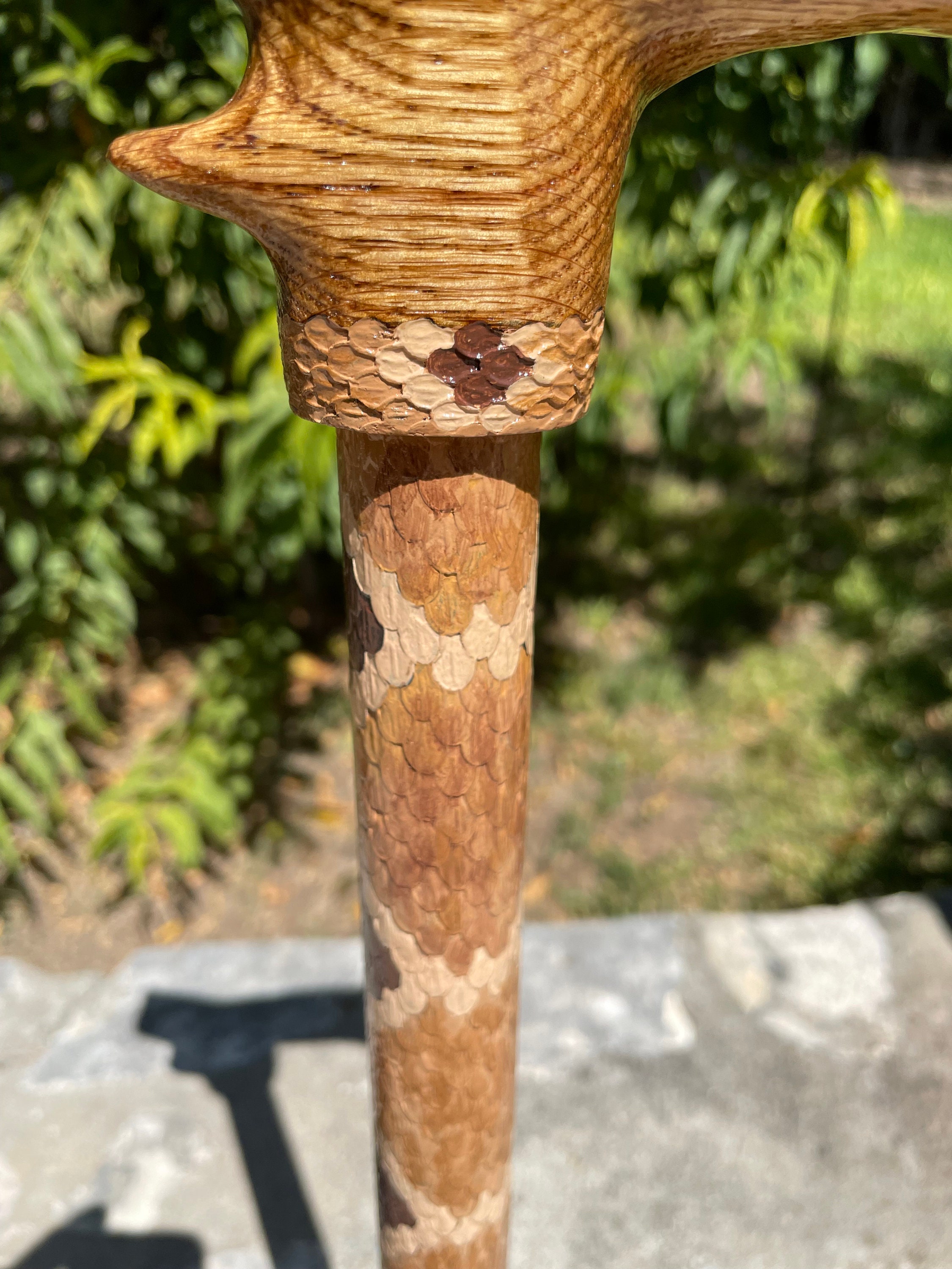Walking Cane, Snake Skin Walking Cane, Walking Stick, Hand Carved ...
