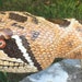 Hand Carved Rattlesnake Walking Cane Made From Eastern Red Cedar, Man ...