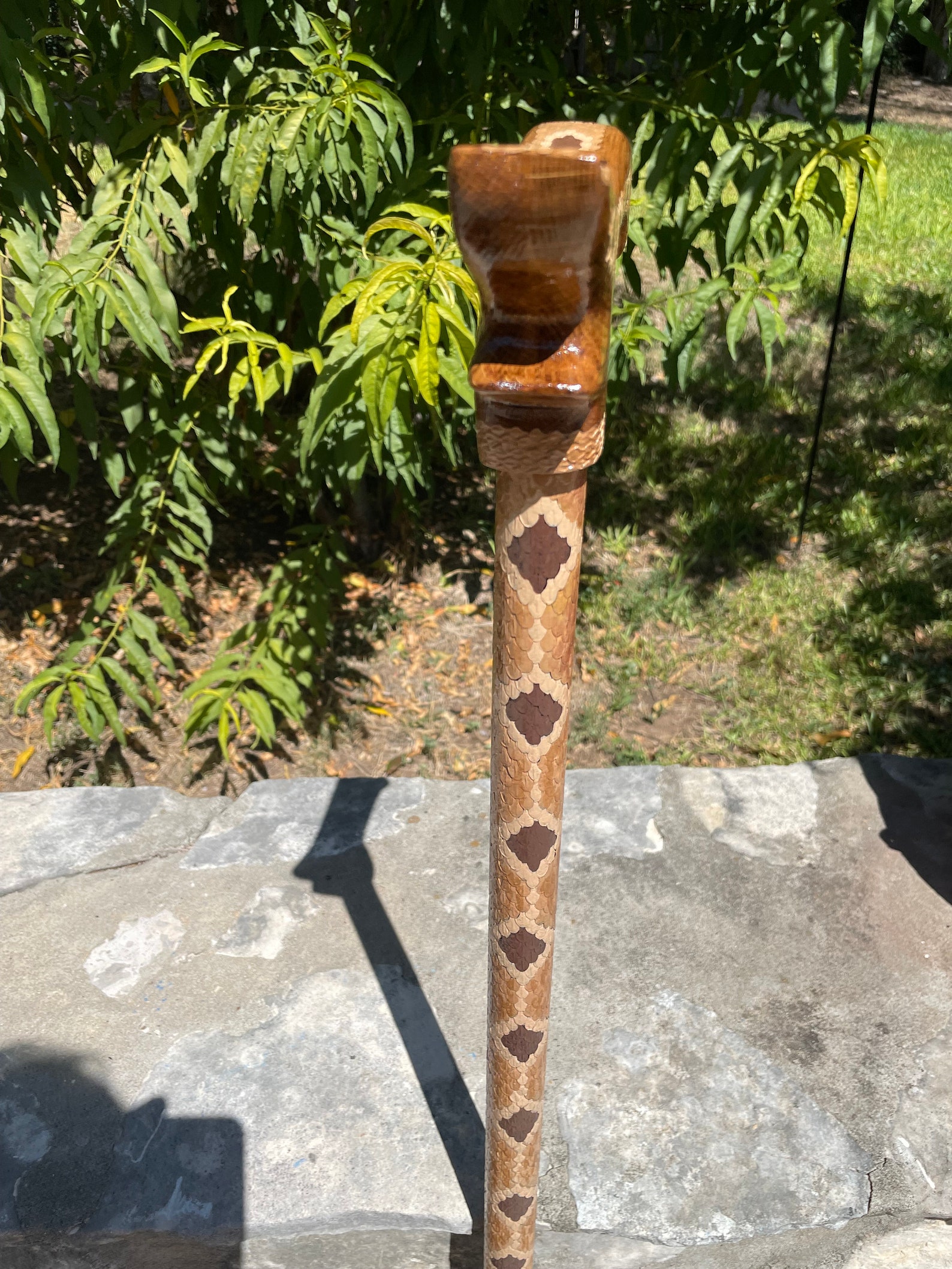 Walking Cane, Snake Skin Walking Cane, Walking Stick, Hand Carved ...