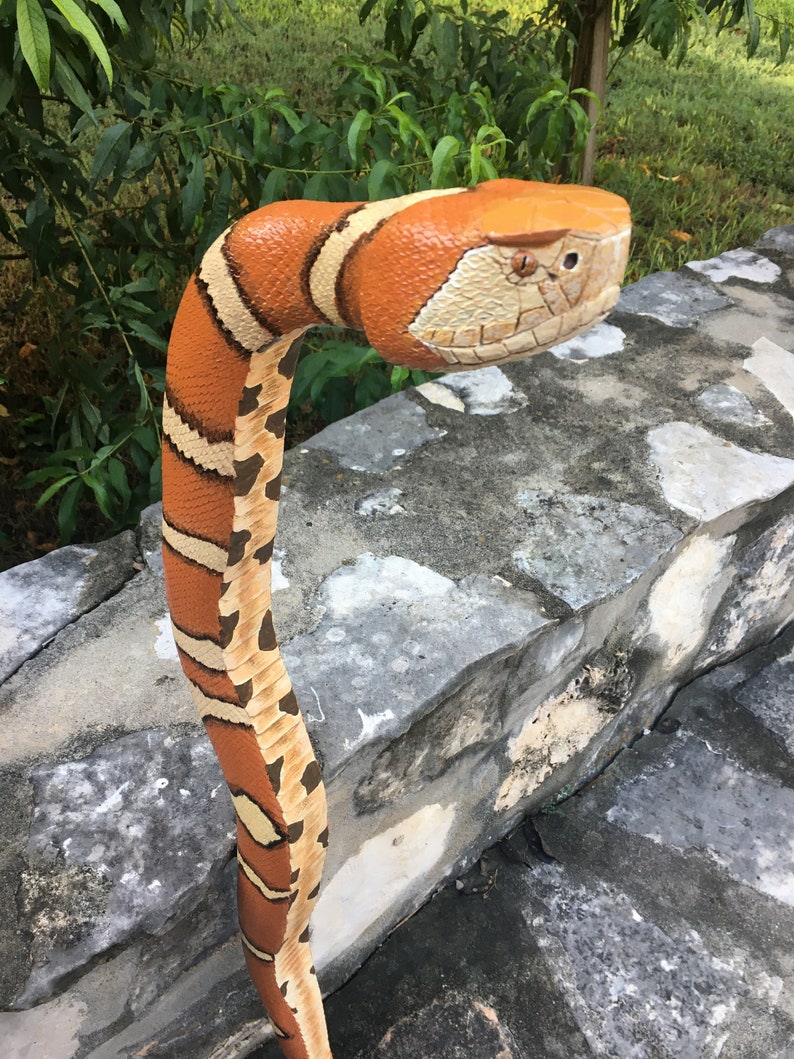 Walking Cane, Best Walking Cane, Walking Sticks, Snake Walking Cane ...