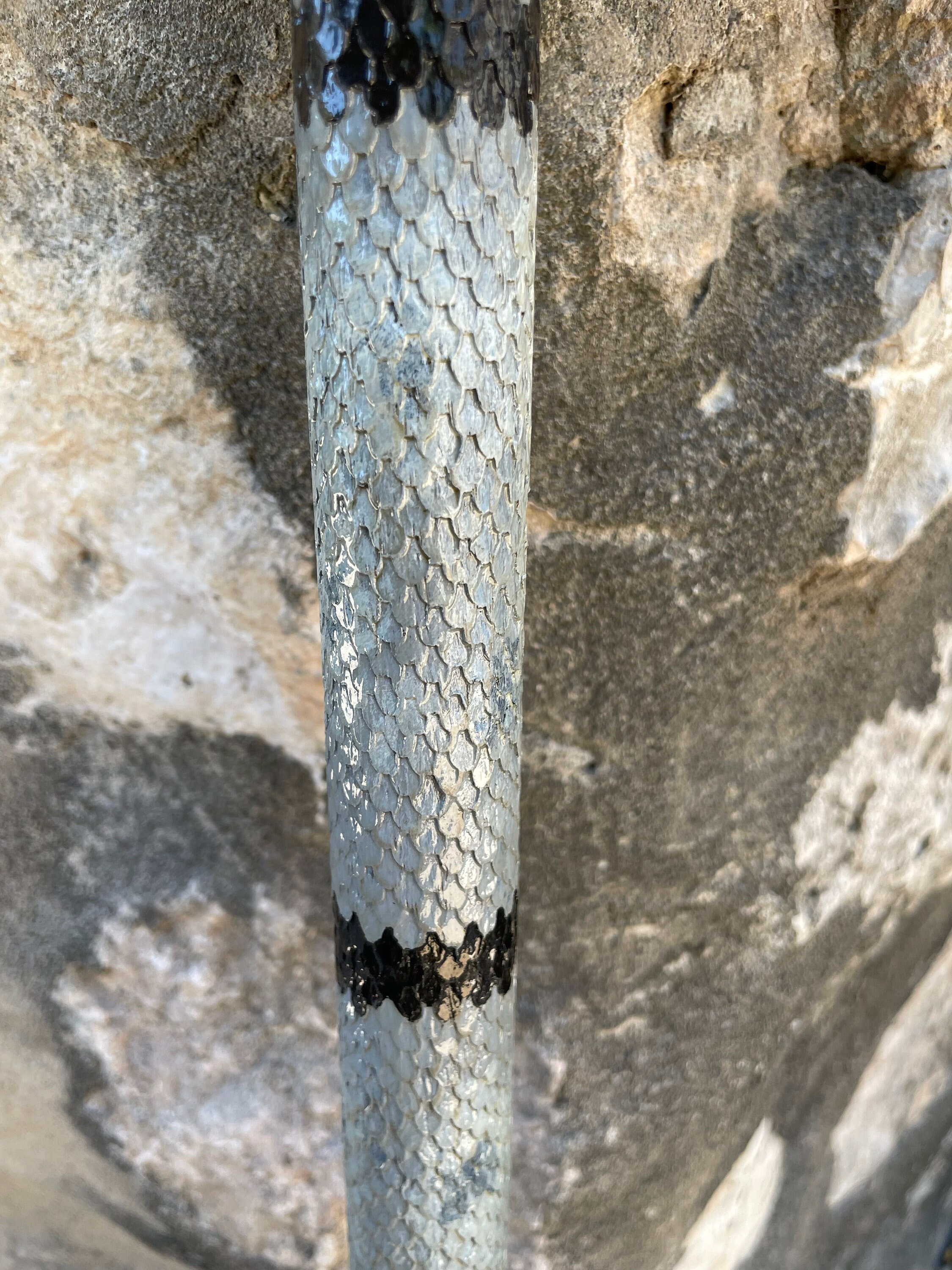 Walking Cane, Snake Skin Walking Cane, Walking Stick,hand Carved ...