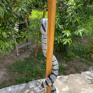 Black Tail Rattlesnake Hand Carved Walking Stick, Snake Hiking Stick ...