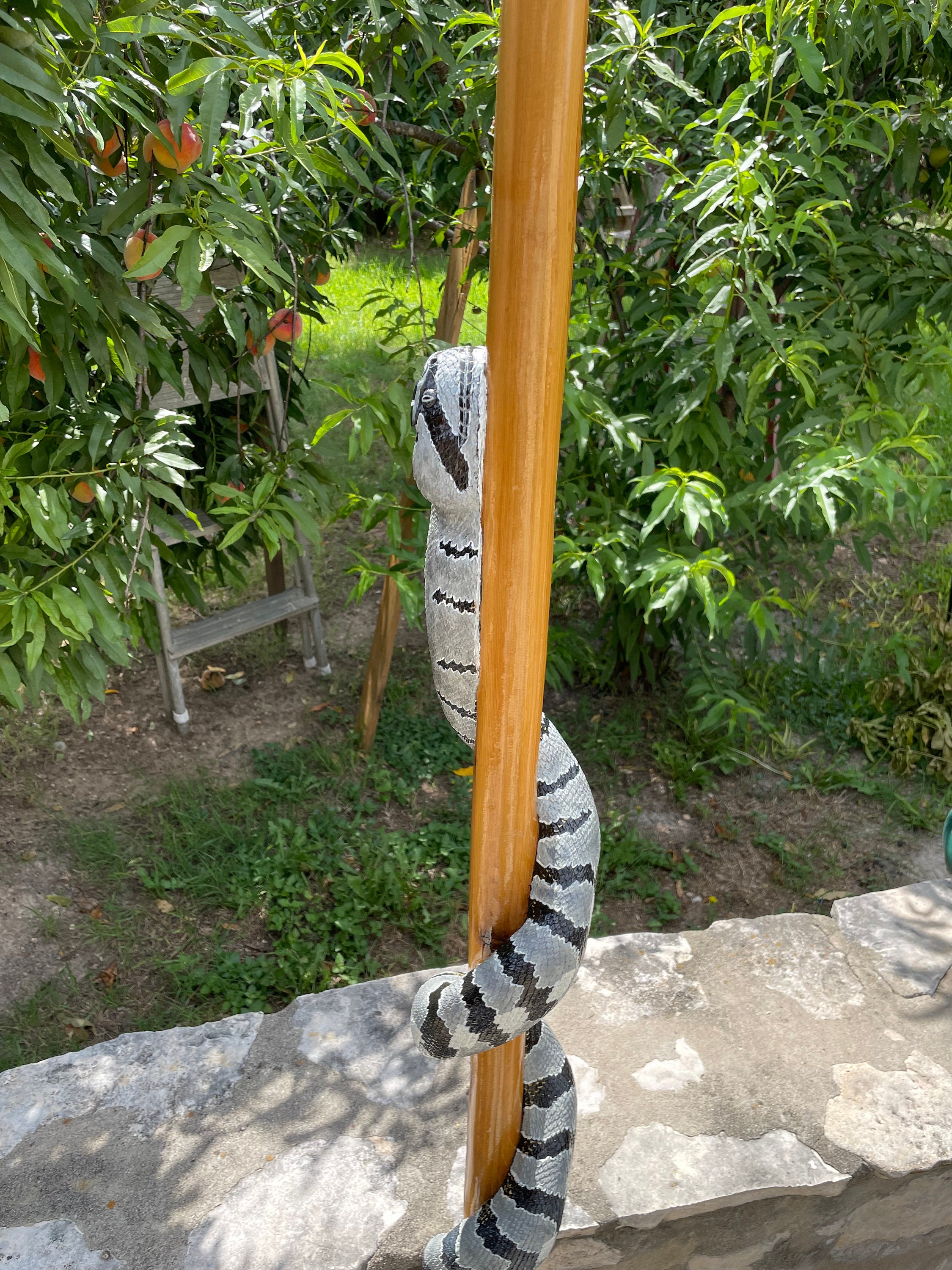 Black Tail Rattlesnake Hand Carved Walking Stick, Snake Hiking Stick ...