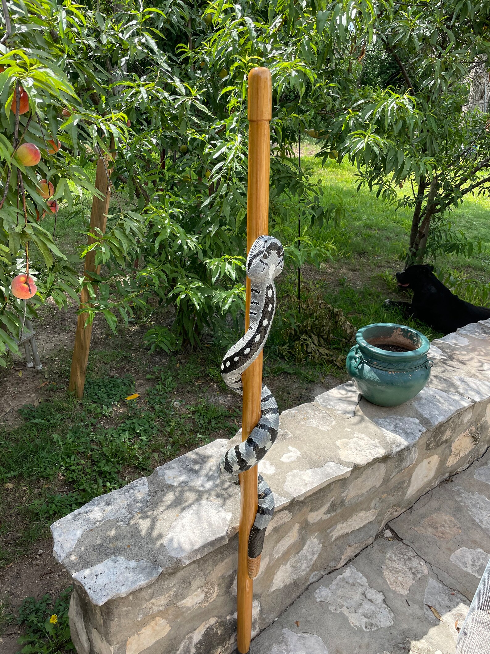Black Tail Rattlesnake Hand Carved Walking Stick, Snake Hiking Stick ...