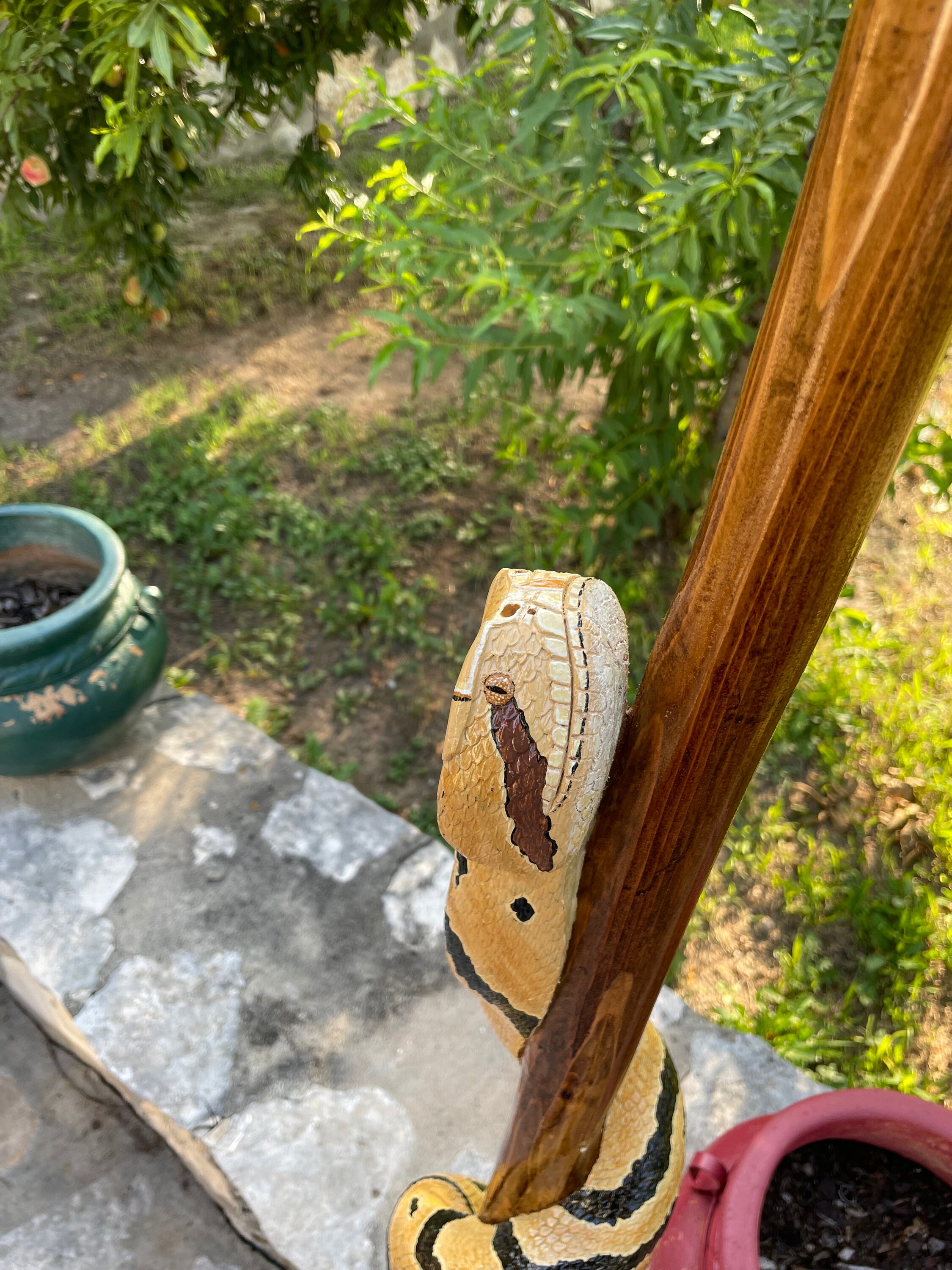 Snake Walking Stick, Rattlesnake Walking Stick, Walking Stick, Snake ...