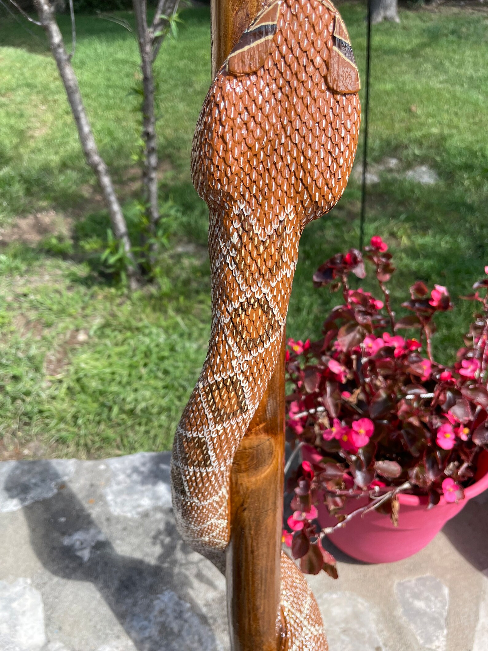 Red Diamondback Rattlesnake Hiking Stick, Hand Carved Snake Hiking ...
