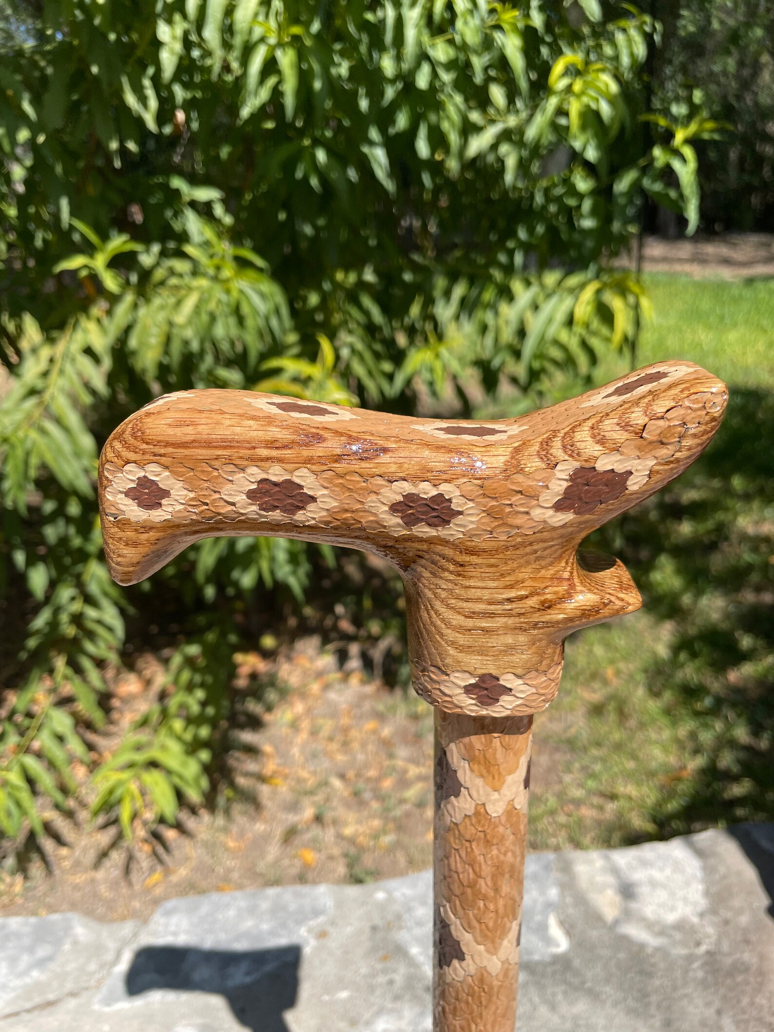 Walking Cane, Snake Skin Walking Cane, Walking Stick, Hand Carved ...