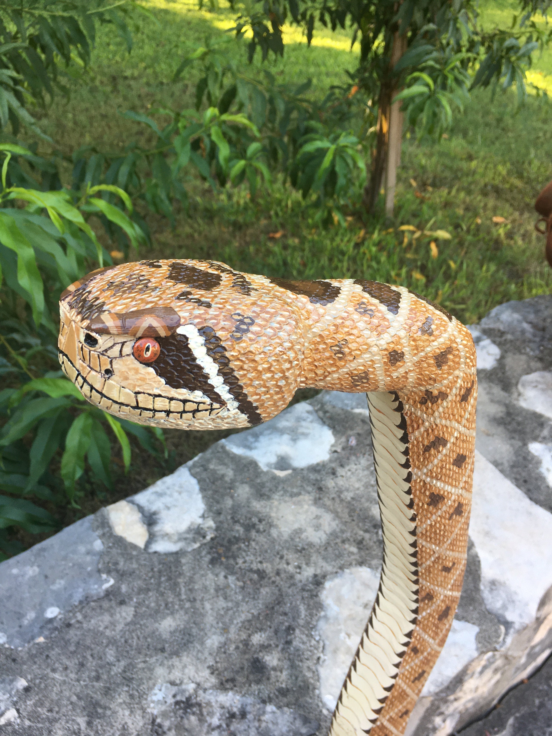 Hand Carved Rattlesnake Walking Cane Made From Eastern Red Cedar, Man ...