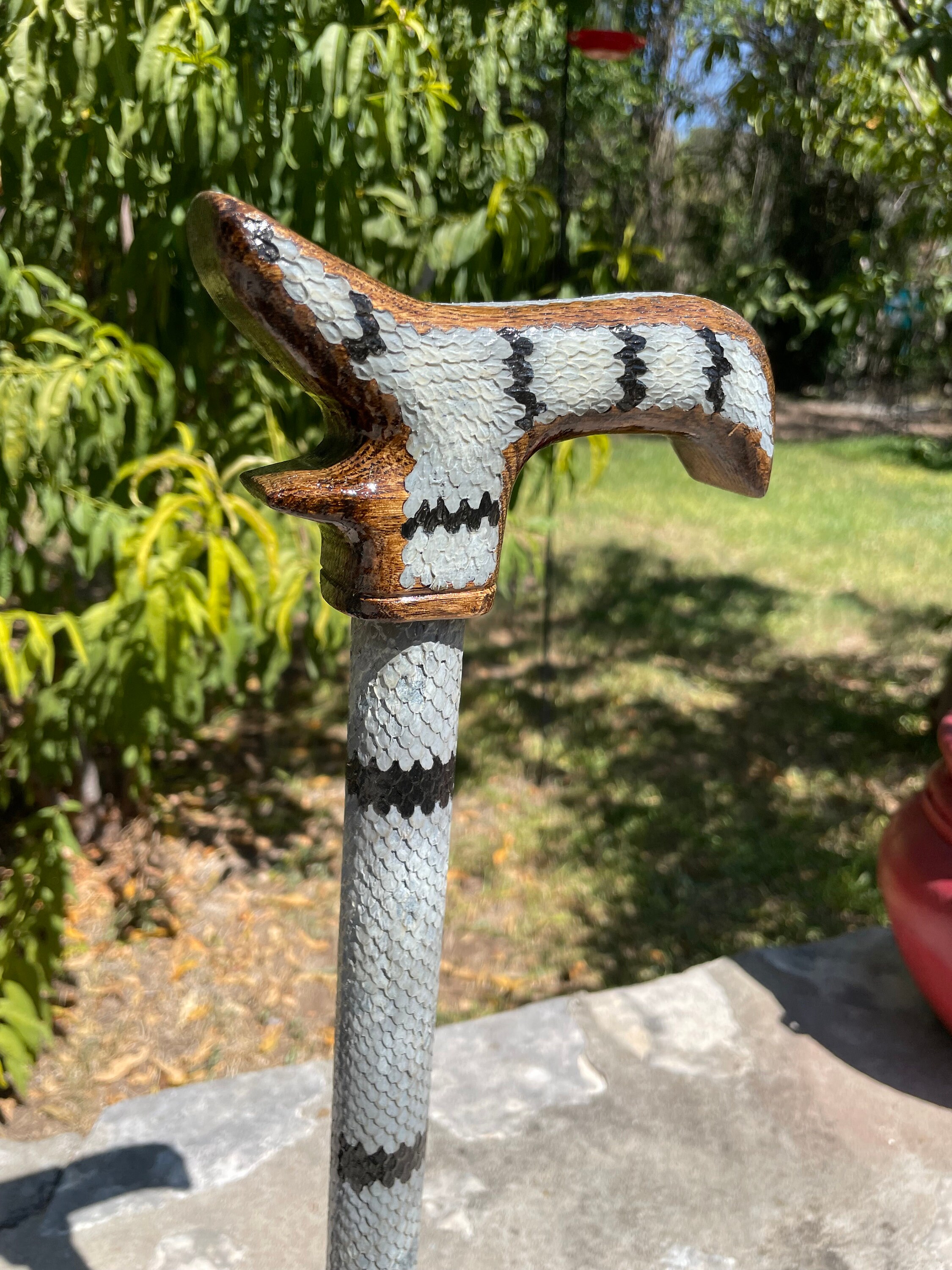 Walking Cane, Snake Skin Walking Cane, Walking Stick,hand Carved ...