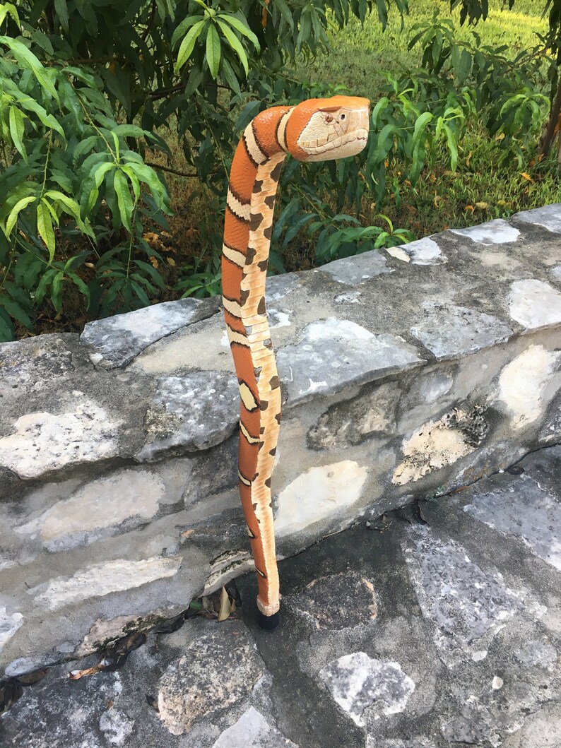 Walking Cane, Best Walking Cane, Walking Sticks, Snake Walking Cane ...