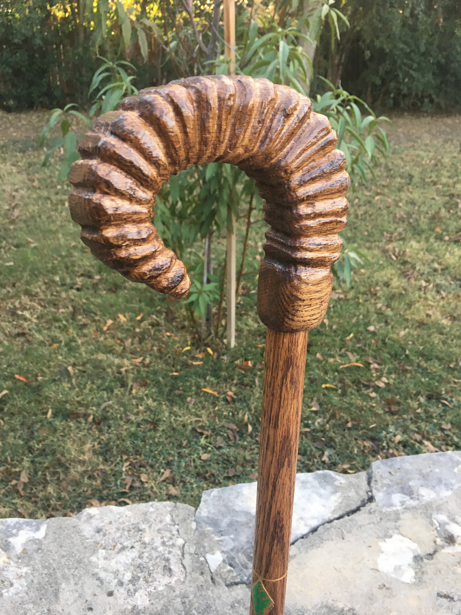 Ram Horn Walking Cane Made of Oak Wood, Hand Carved Cane Ready to Be ...