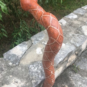 Red Diamondback Rattlesnake, Hand Carved Walking Cane. Made of Eastern ...