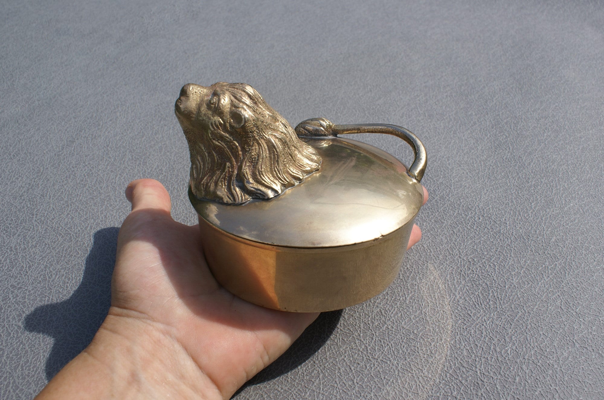Antique Brass Lion Box Round Lidded Chest With Lion Brass - Etsy
