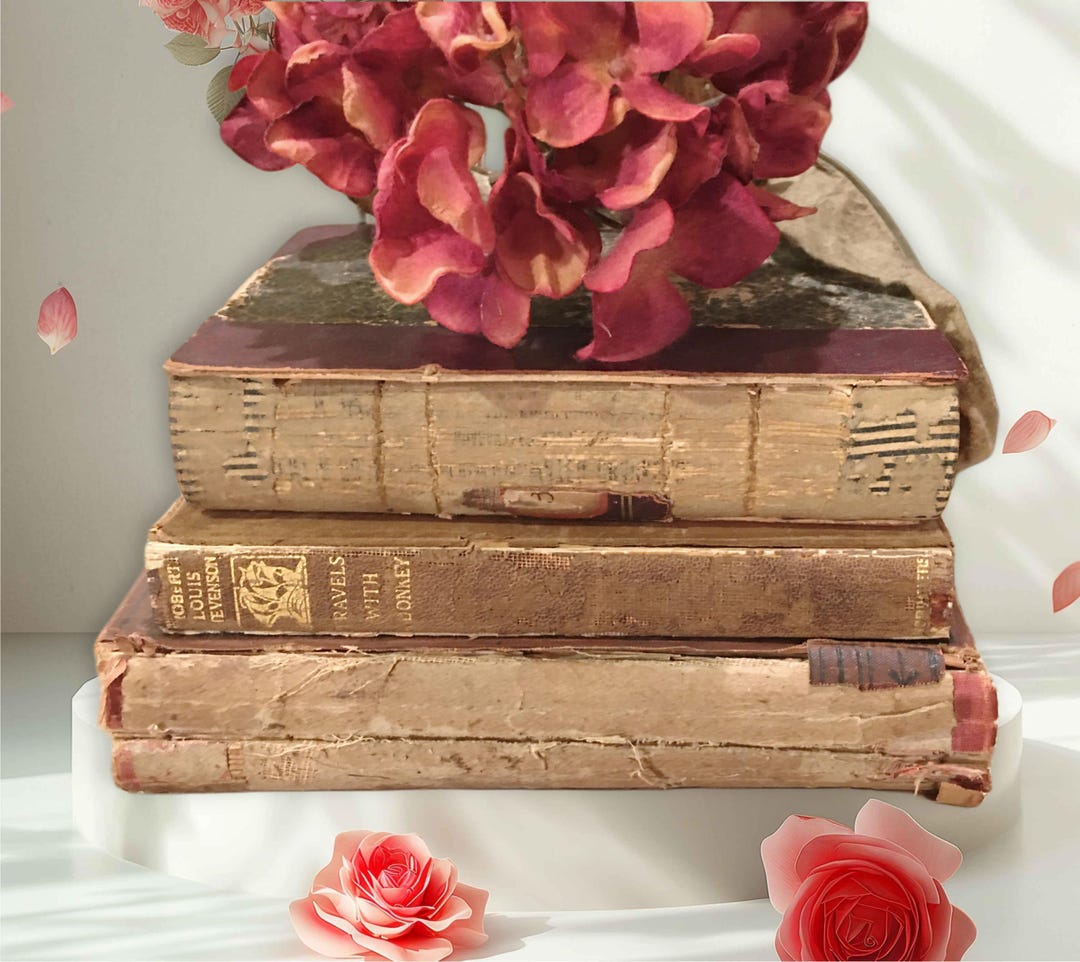 Antique Leather Books,old Distressed Books,set of 3,poetry,literature ...
