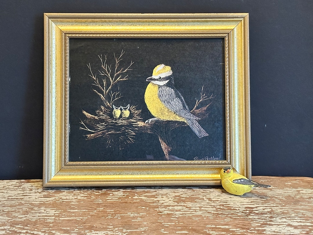 Richard Reid Mason Framed Bird Print,yellow Throated Warbler Birds ...