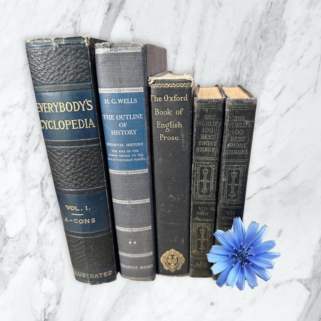 Old Dark Navy Blue Books Decorative,set of 5,mid Century Novels,book ...