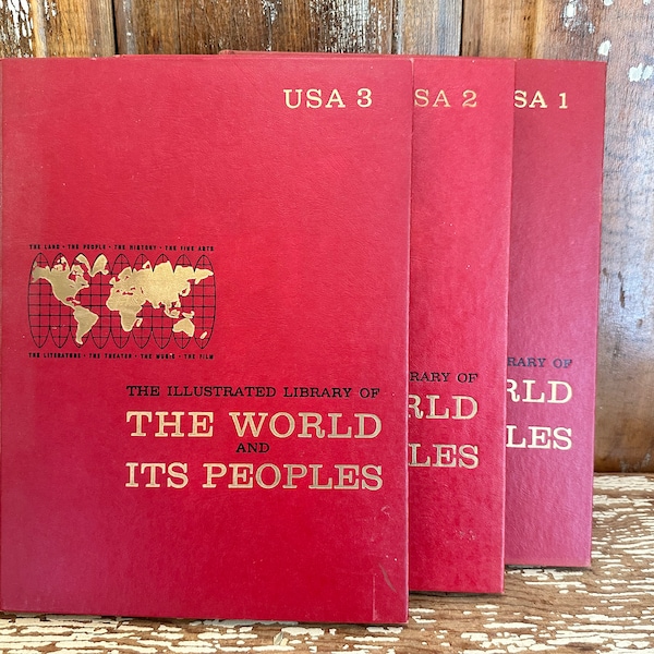 Illustrated Library - Etsy